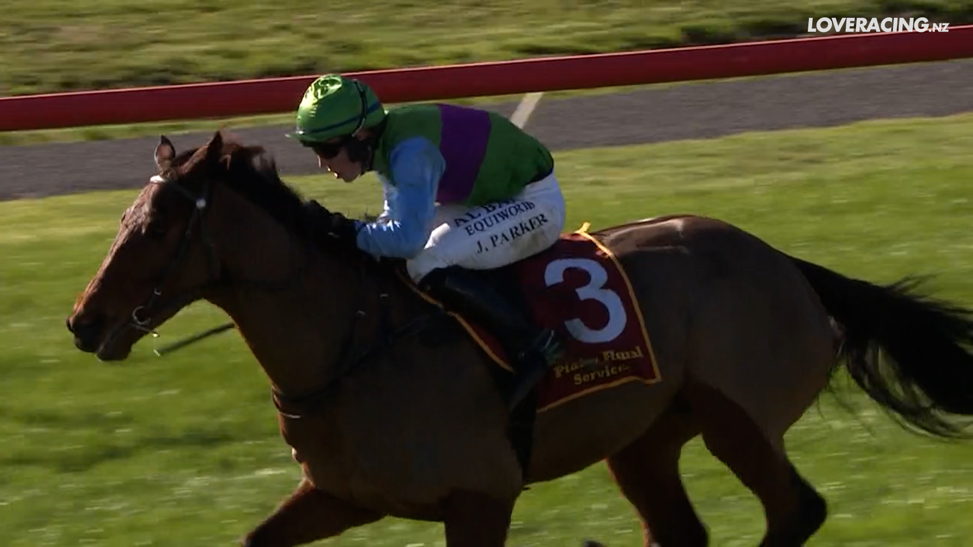 Piako Rural Services Steeplechase - Hey Happy